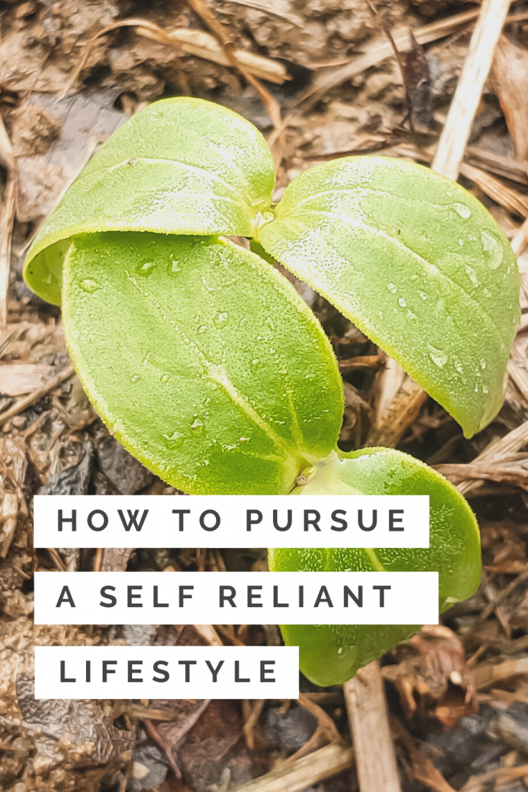 What is a Self Reliant Lifestyle and How Can You Pursue It?