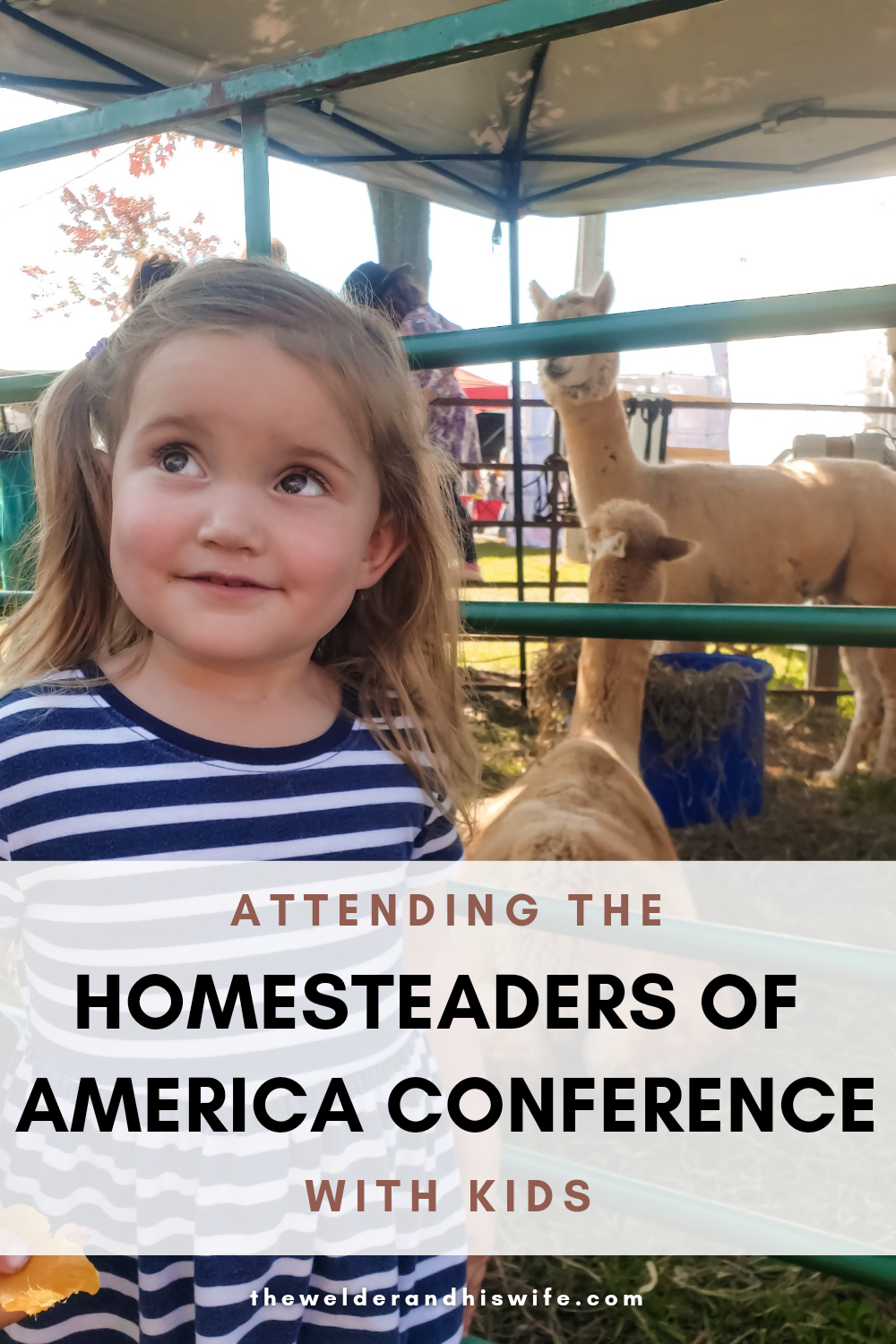 Attending the 2022 Homesteaders of America Conference - The Welder and ...