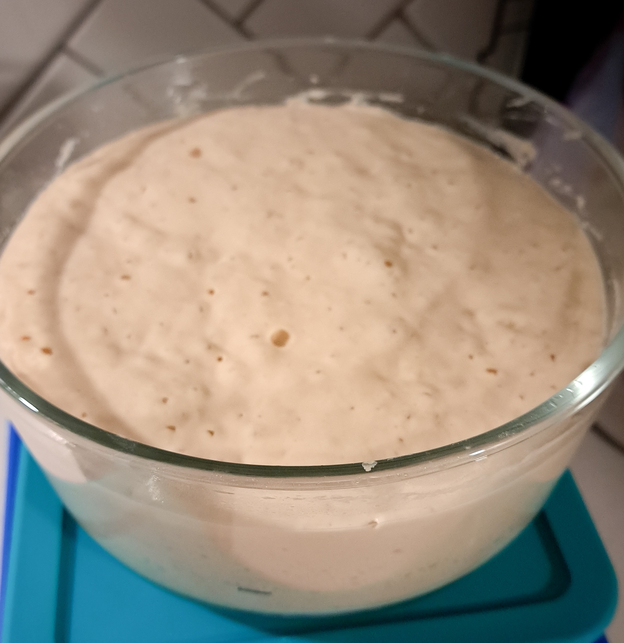 Instructions for Making Sourdough Starter from Scratch - The Welder and ...