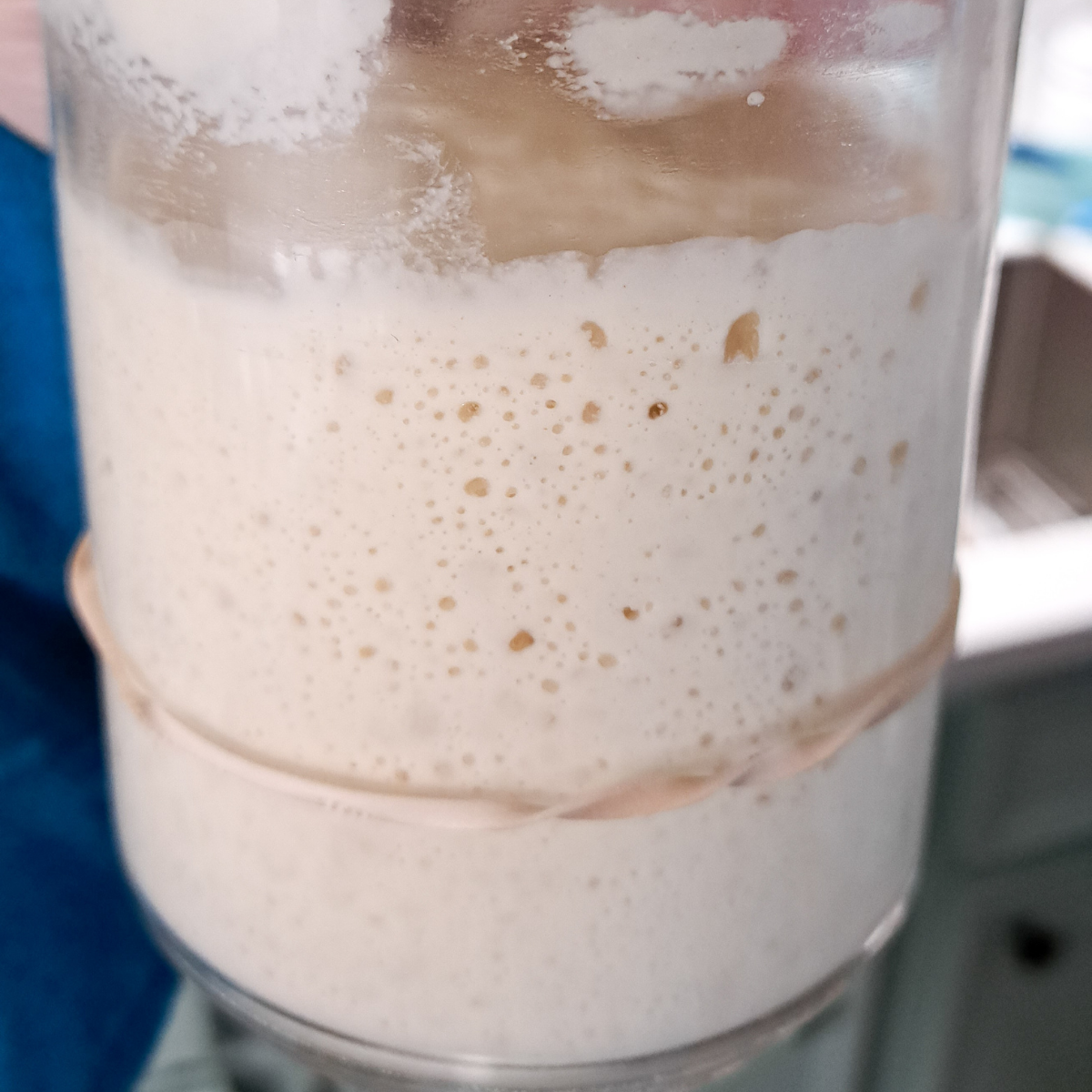 Instructions for Making Sourdough Starter from Scratch - The Welder and ...